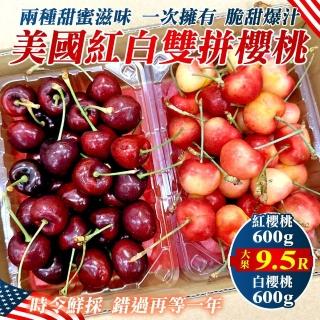 【果之蔬】美國雙色櫻桃(白櫻桃9R 500g+紅櫻桃9.5R 500g/盒)