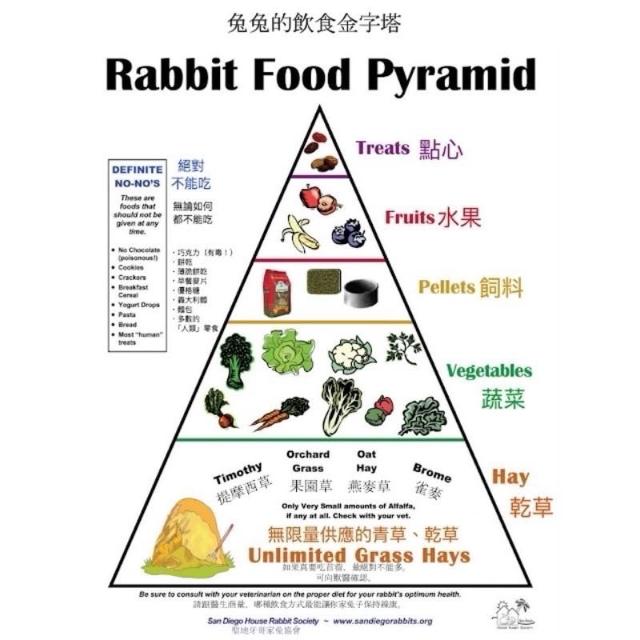 【NPF】HW｜日本NPF無麩質/腸活習慣·My兔每日優質兔飼料810g
