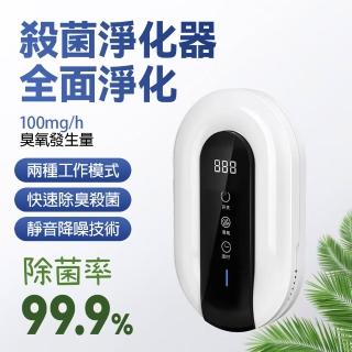 【EARISE 雅蘭仕】空氣淨化器 家用衛生間除臭 寵物去異味 臭氧負離子 空氣消毒機