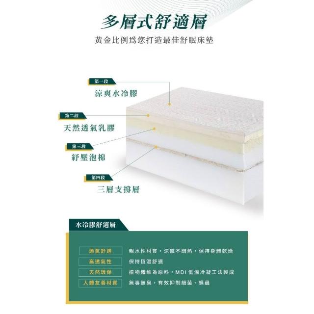 【席格Seagirt】德國OKIN馬達床墊型電動床「天絲水冷膠」ST-202